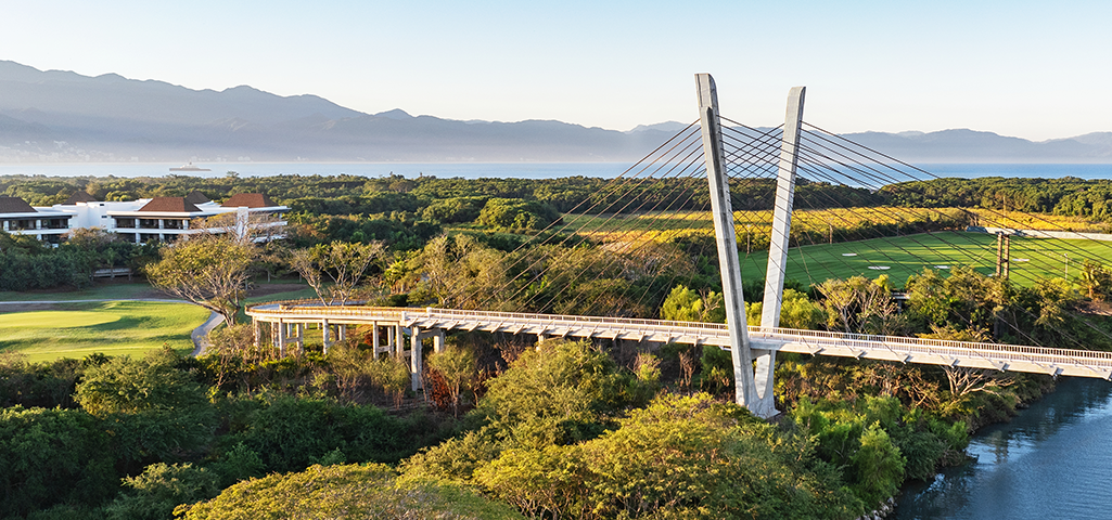 Puente Atirantado